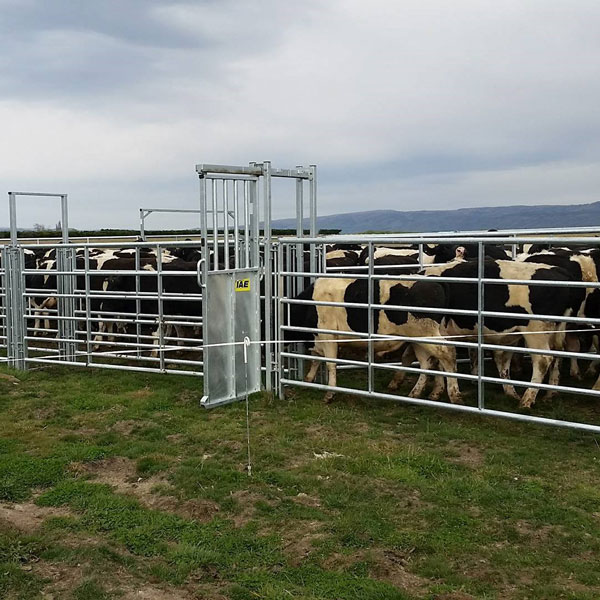 Field Gates & Cattle Yards | NZ Supplier